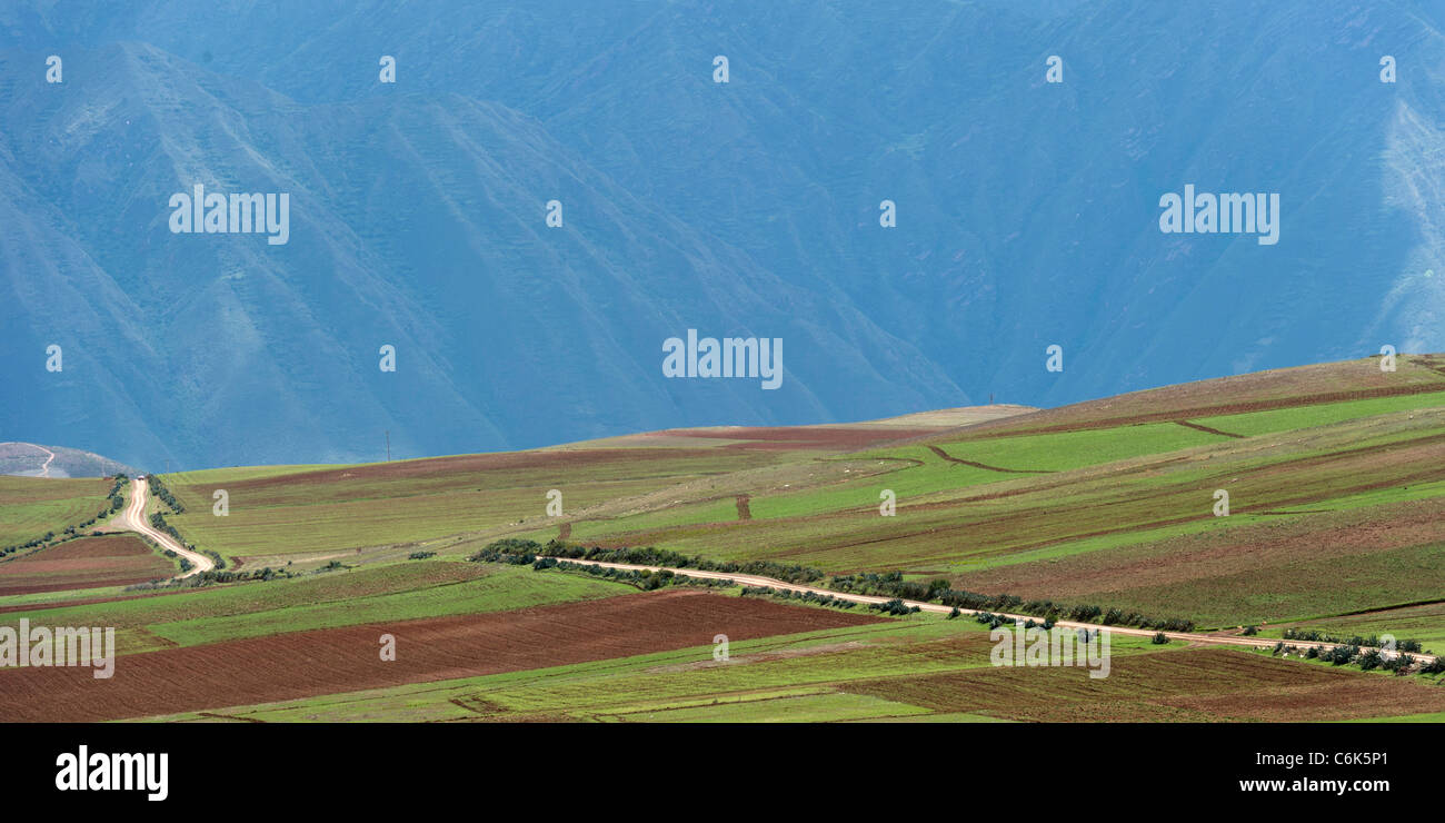 Agricultural field in Sacred Valley, Cusco Region, Peru Stock Photo - Alamy