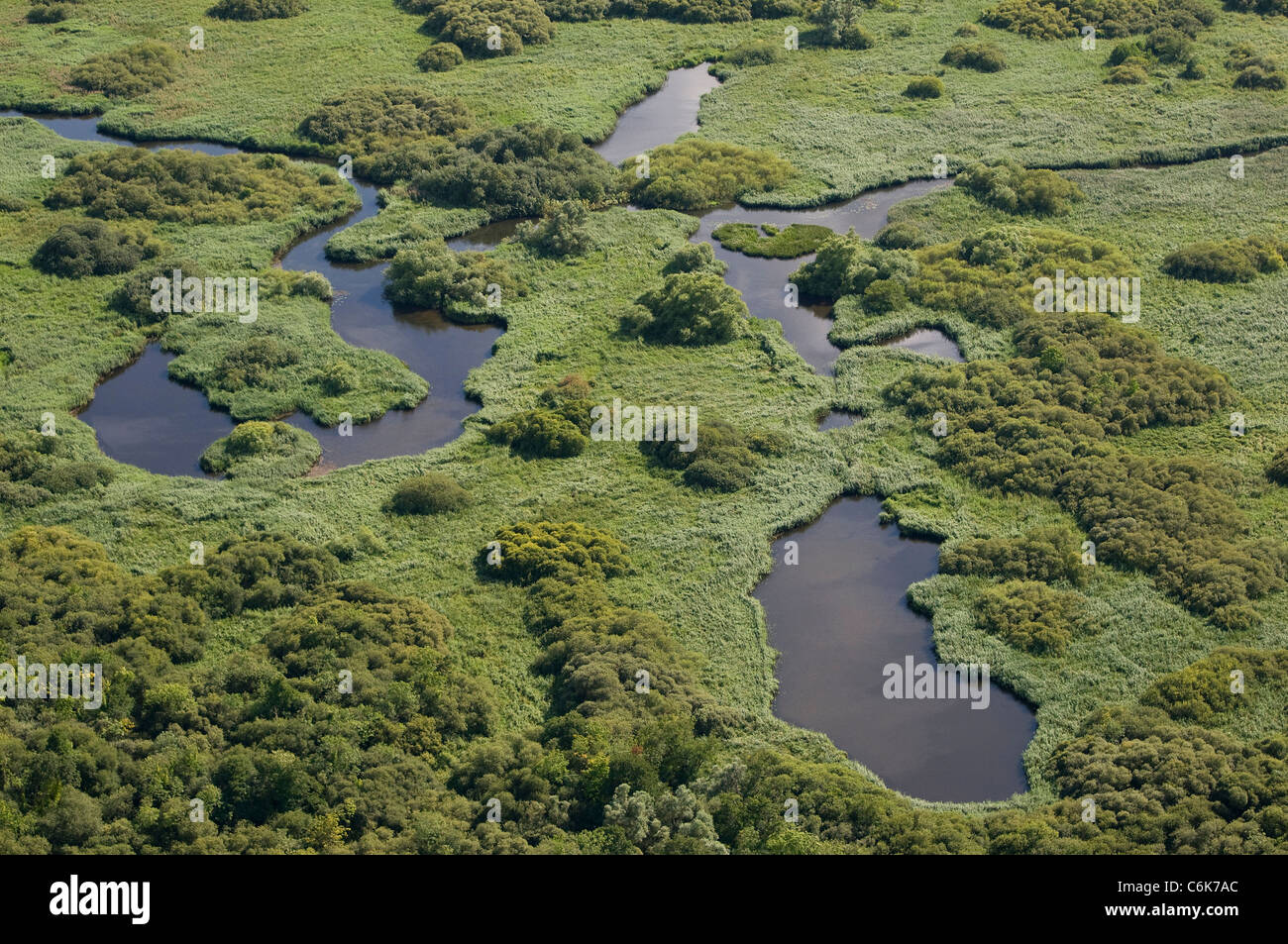 aerial view of norfolk broads nature reserve, england Stock Photo - Alamy
