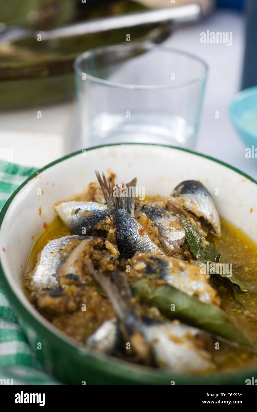Two sardines hi-res stock photography and images - Alamy