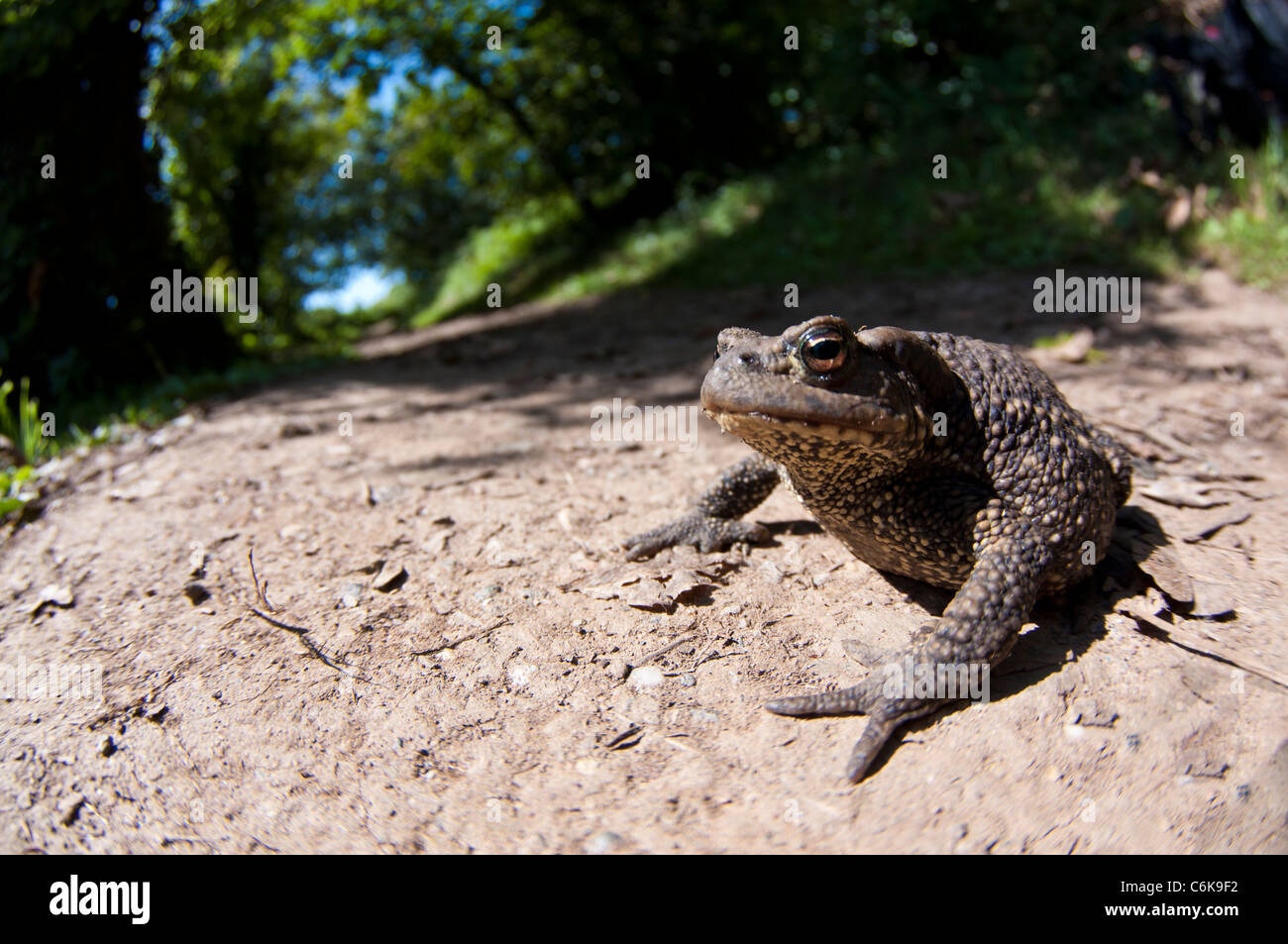 Jack2011 hi-res stock photography and images - Alamy