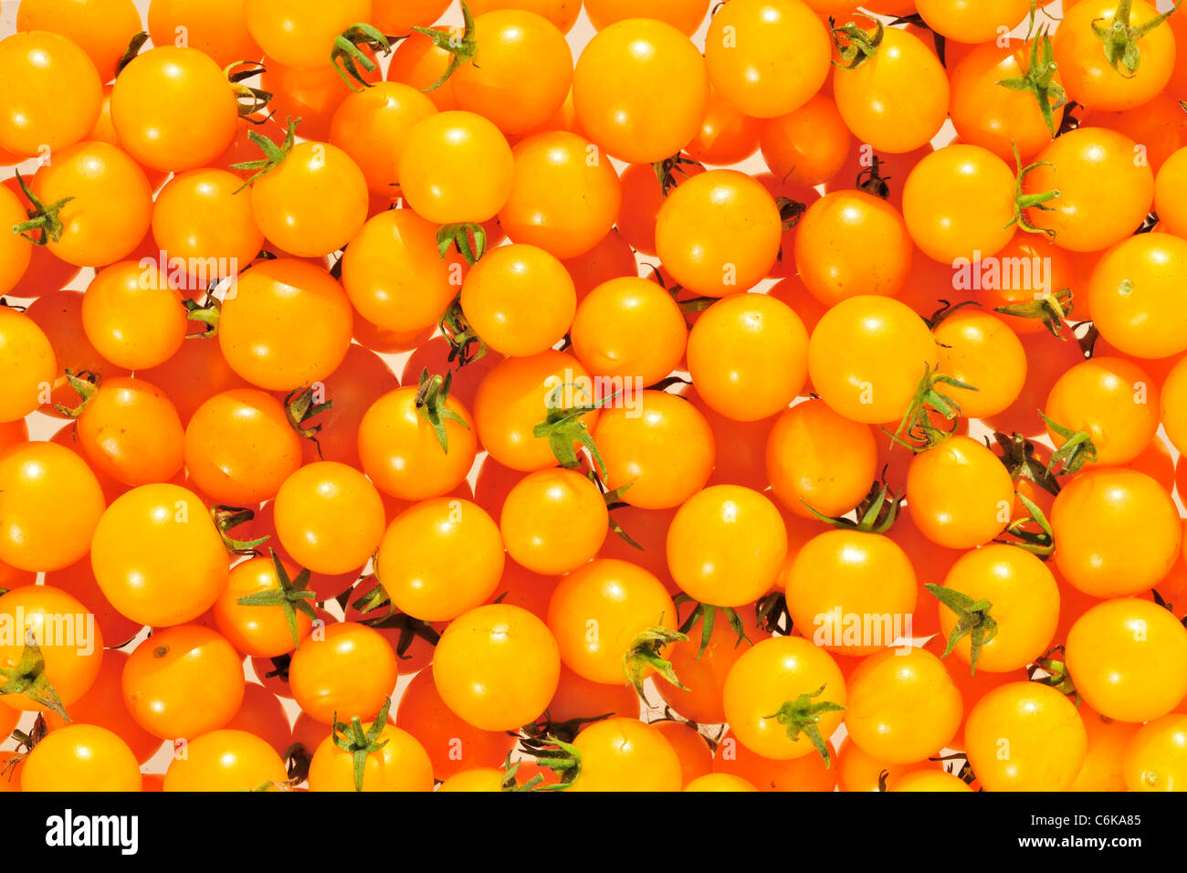 Cherry tomatoe plant hi-res stock photography and images - Alamy