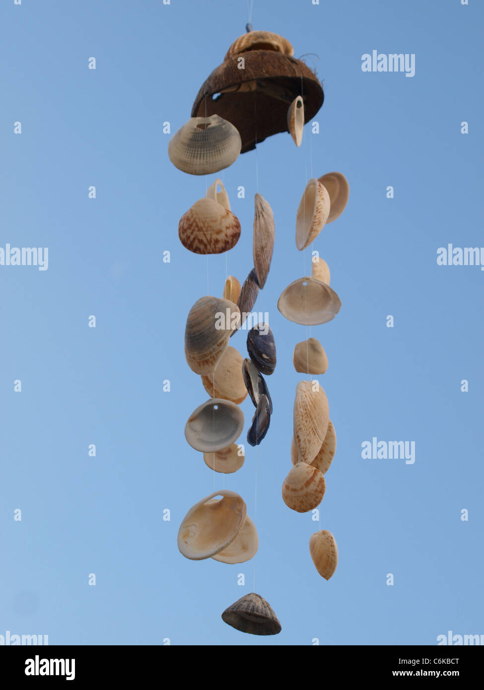 Home made wind chimes made from shells collected from the beach ...