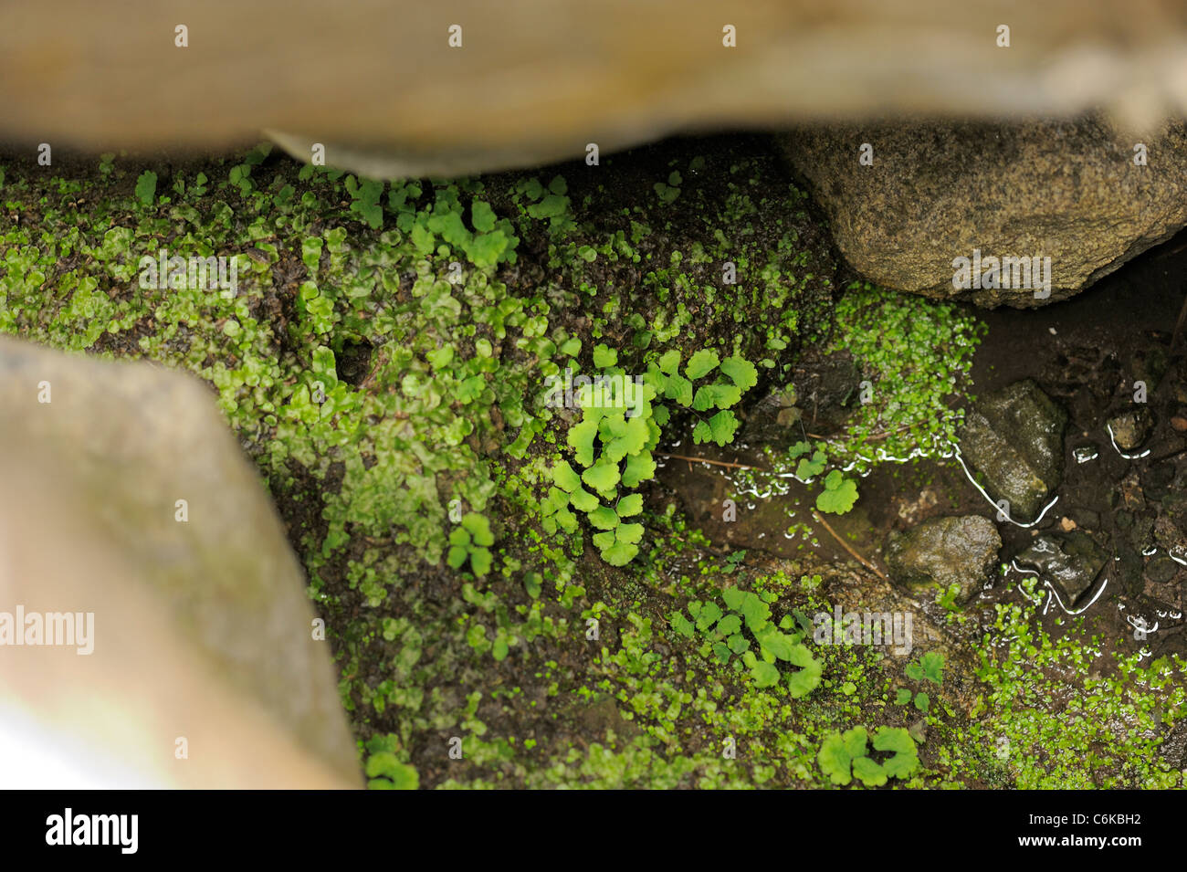 Deep gryke hi-res stock photography and images - Alamy