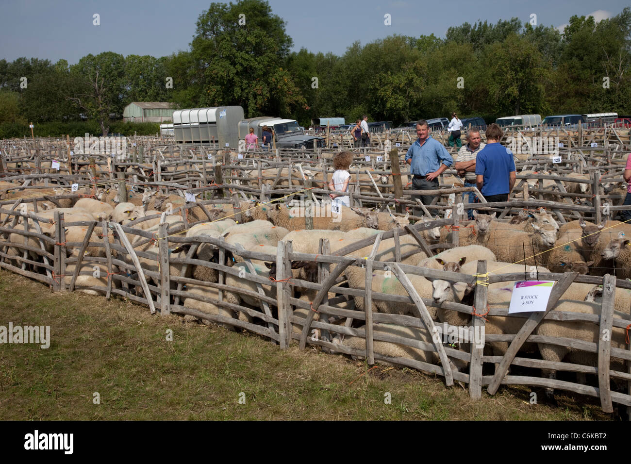 Farmers discussing sheep in pens awaiting auction at Honeybourne Sheep ...