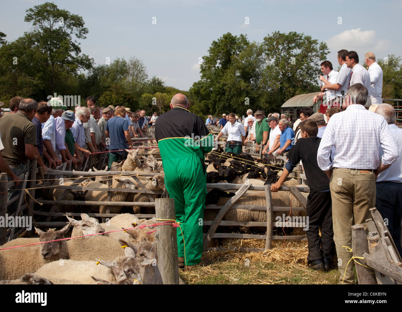 Selling sheep hi-res stock photography and images - Alamy