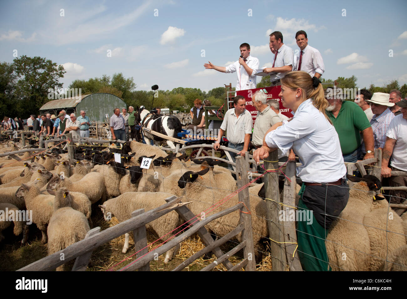 Auctioning sheep from horse and cart Honeybourne Sheep Market August ...