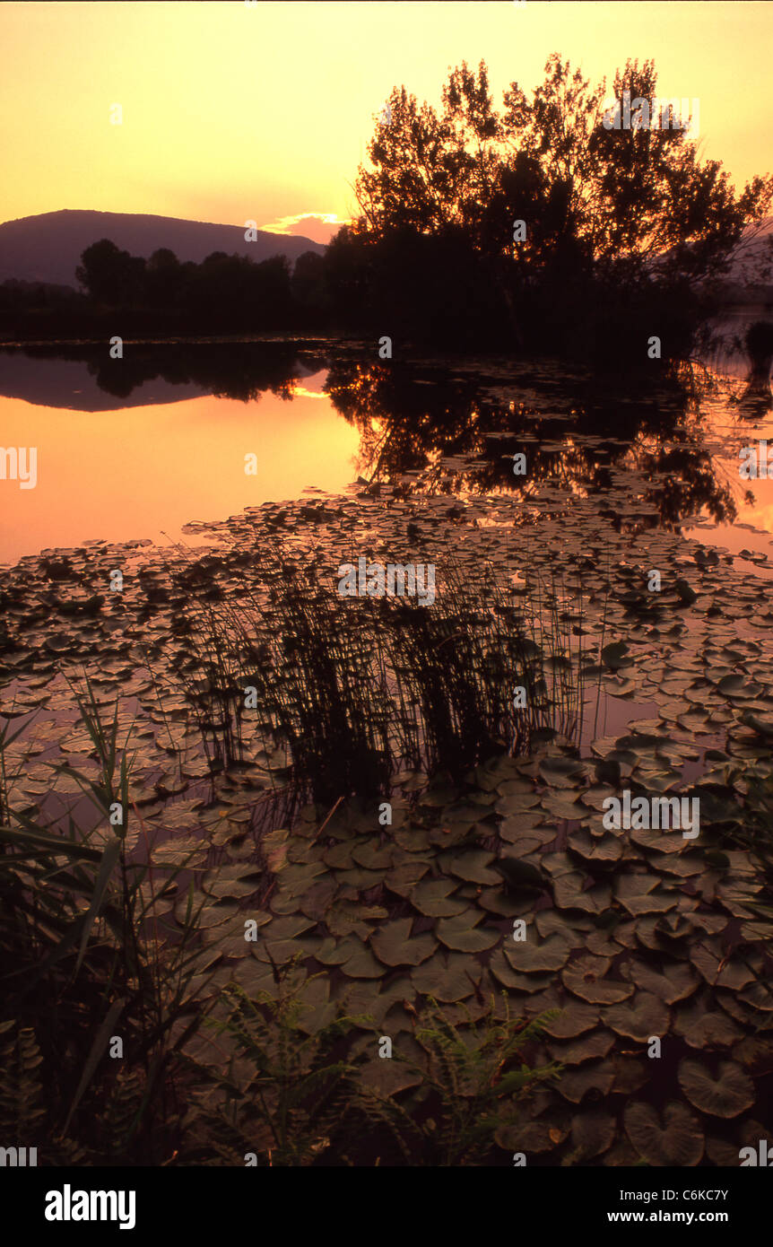 torbiere del Sebino Stock Photo - Alamy