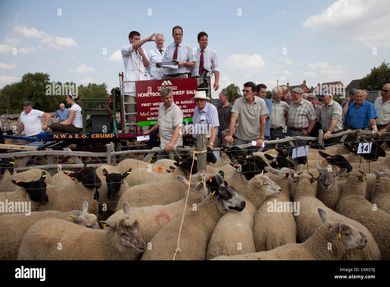 Auctioning sheep from horse and cart Honeybourne Sheep Market August ...
