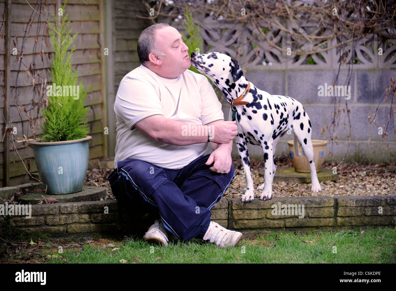 A man with his Dalmation pet dog UK Stock Photo - Alamy