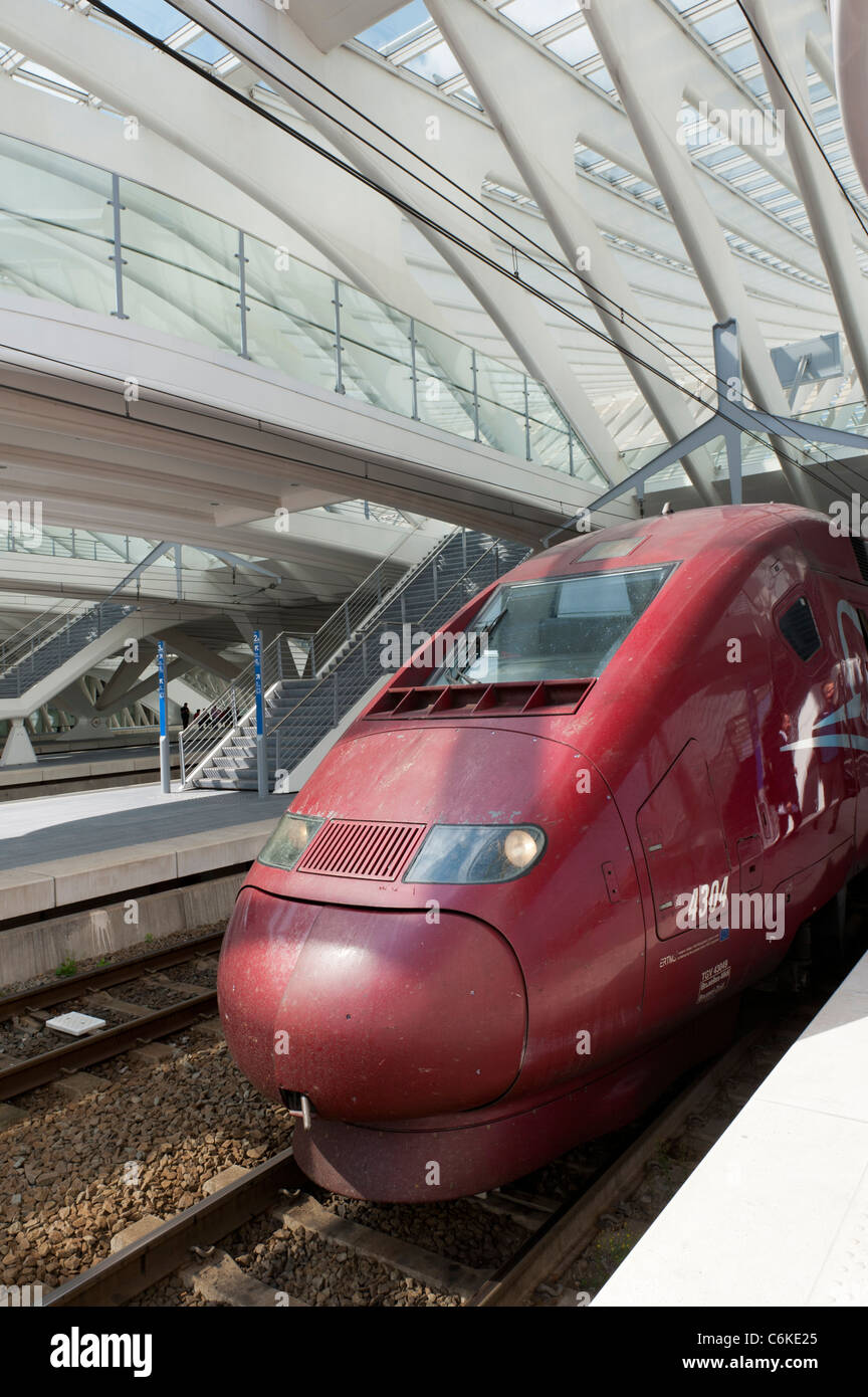 Thalys high speed train at Liège-Guillemins modern railway station ...