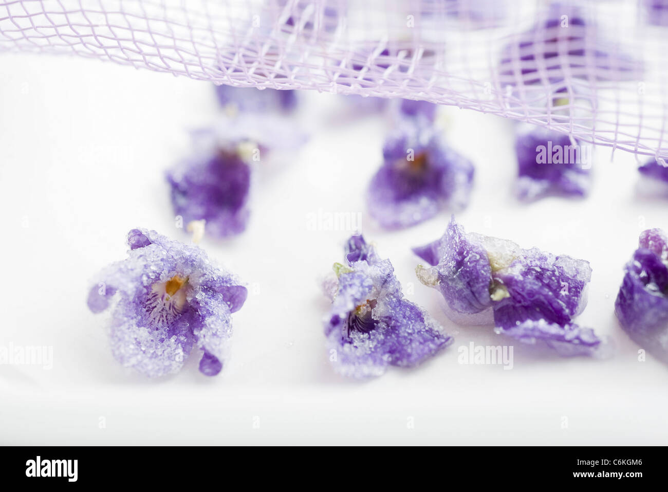 Crystallized violets hi-res stock photography and images - Alamy