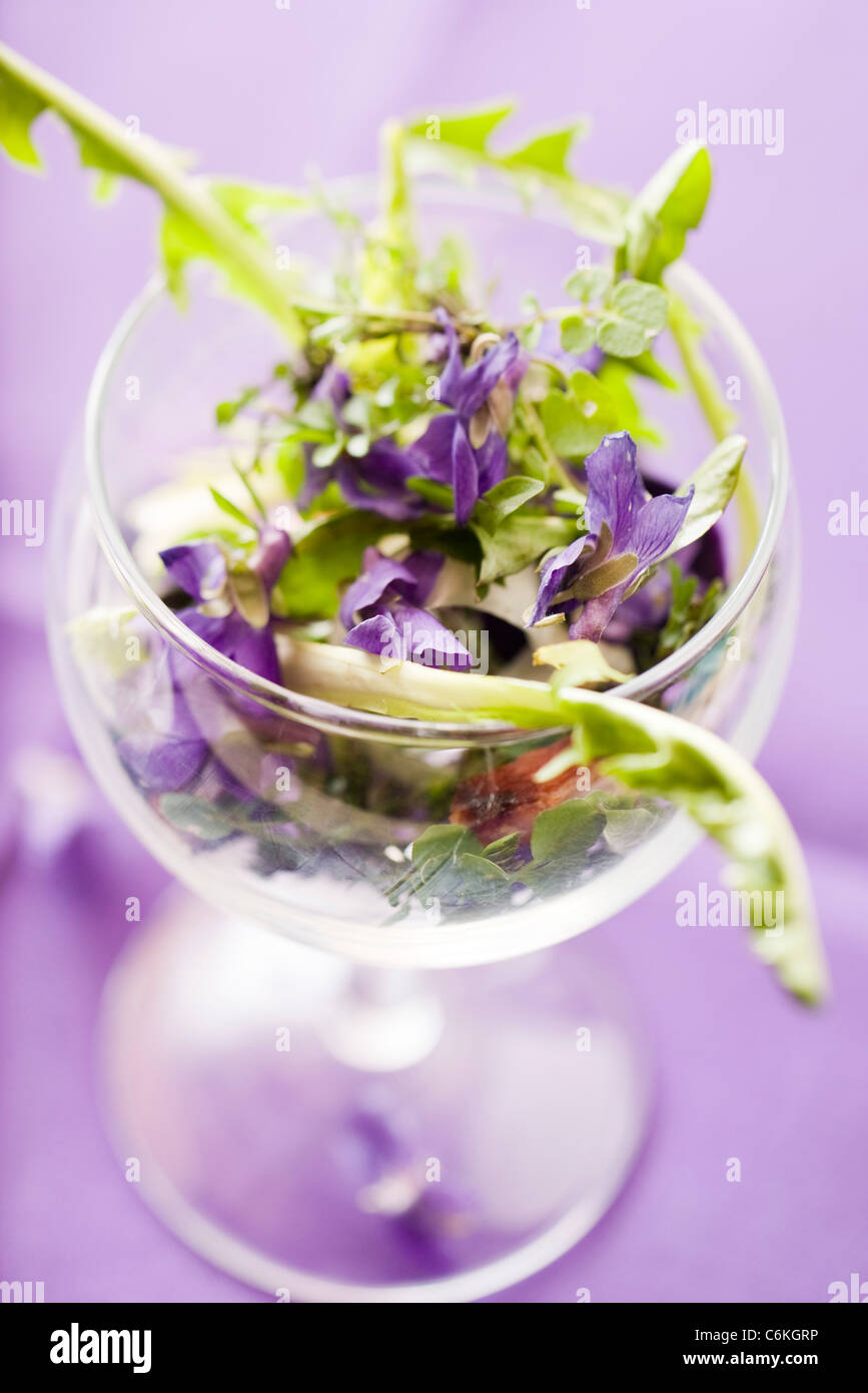 Dandelion and violet salad Stock Photo - Alamy