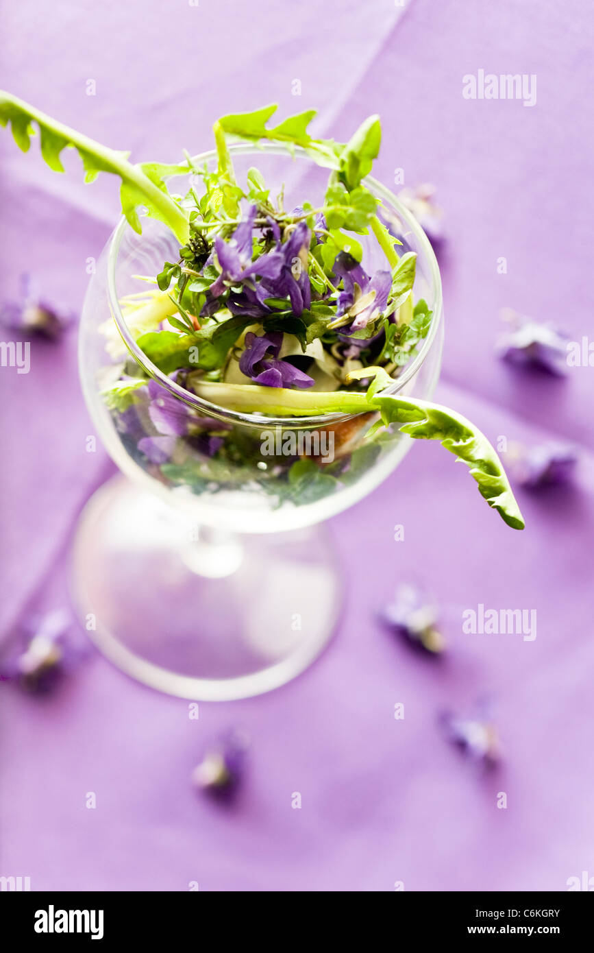 Dandelion and violet salad Stock Photo - Alamy