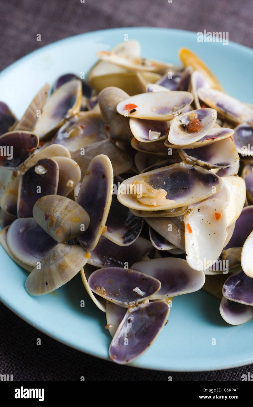 Tellina clam hi-res stock photography and images - Alamy