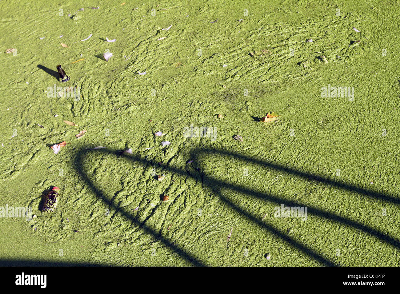 UK. Pollution in Regent's canal in London, with cans, plastic bags and ...