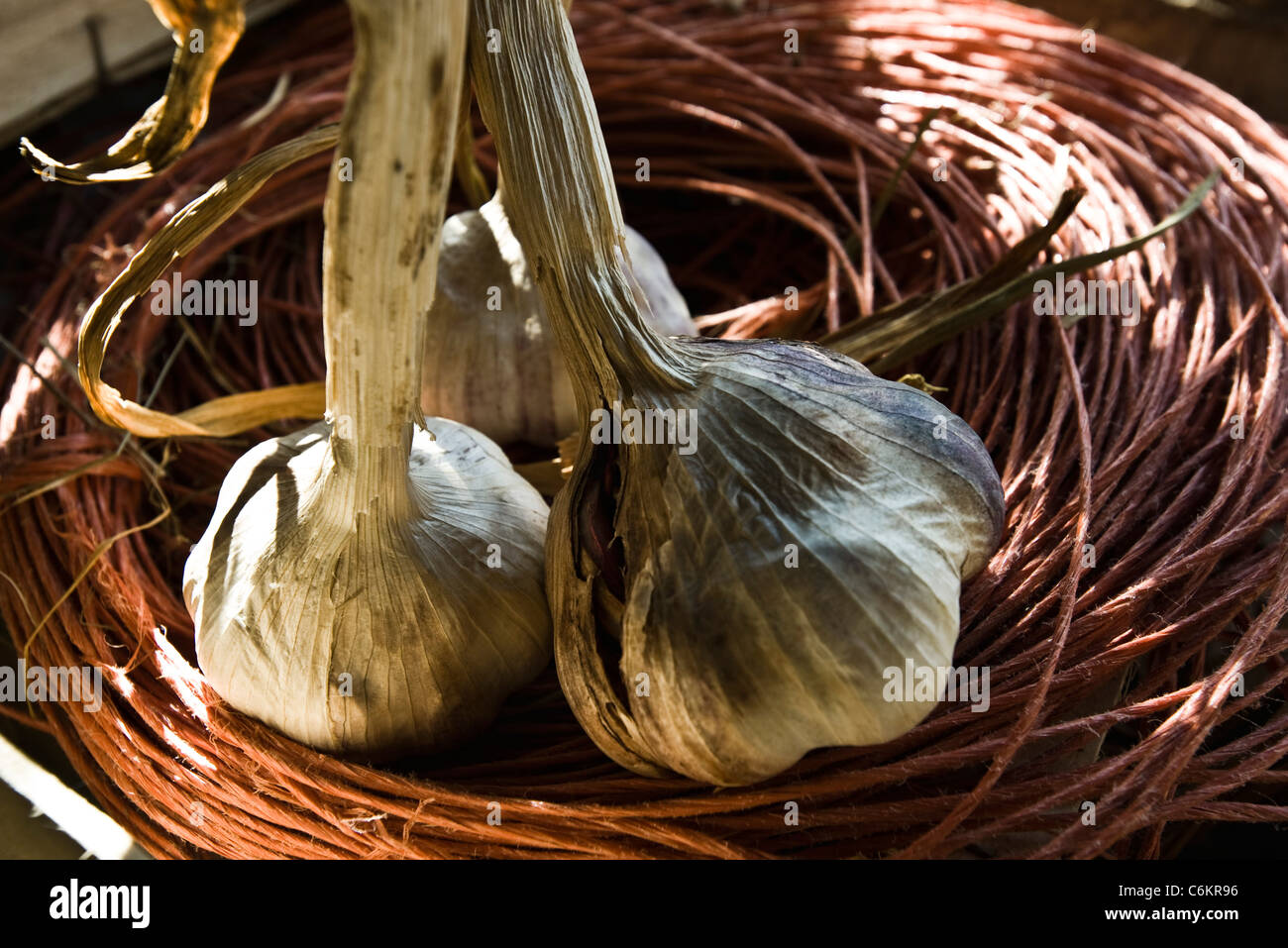 Strings of garlic bulbs hi-res stock photography and images - Alamy