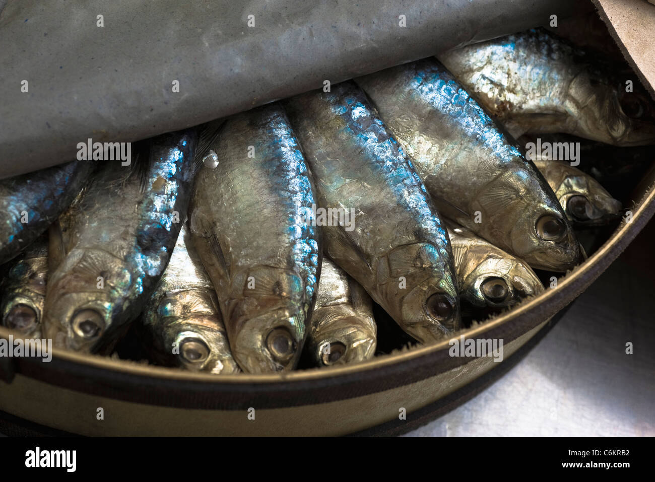 Fresh sardines arranged in hi-res stock photography and images - Alamy