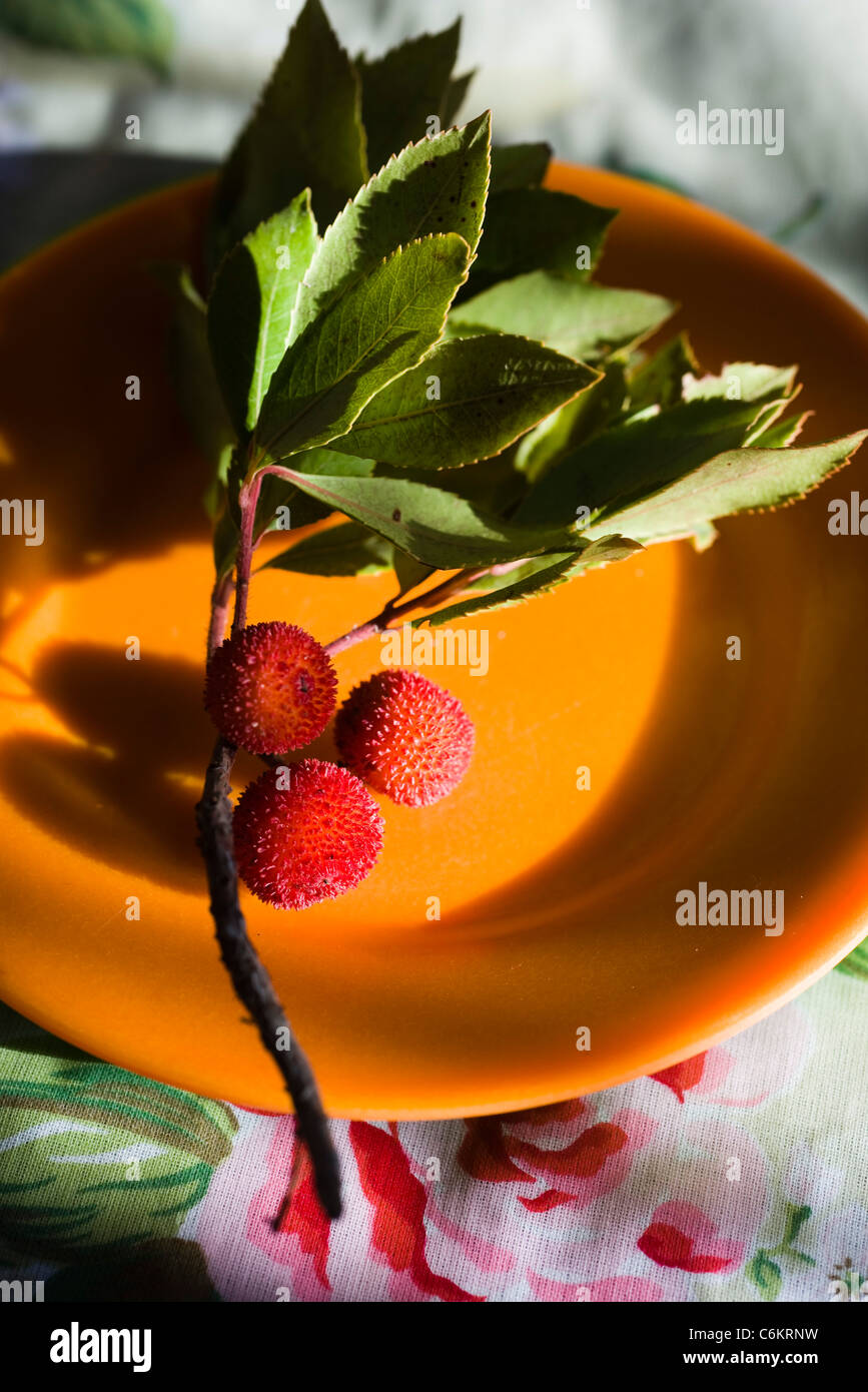 Arbutus berries hi-res stock photography and images - Alamy