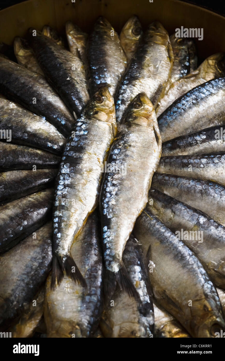 Sardine raw hi-res stock photography and images - Alamy