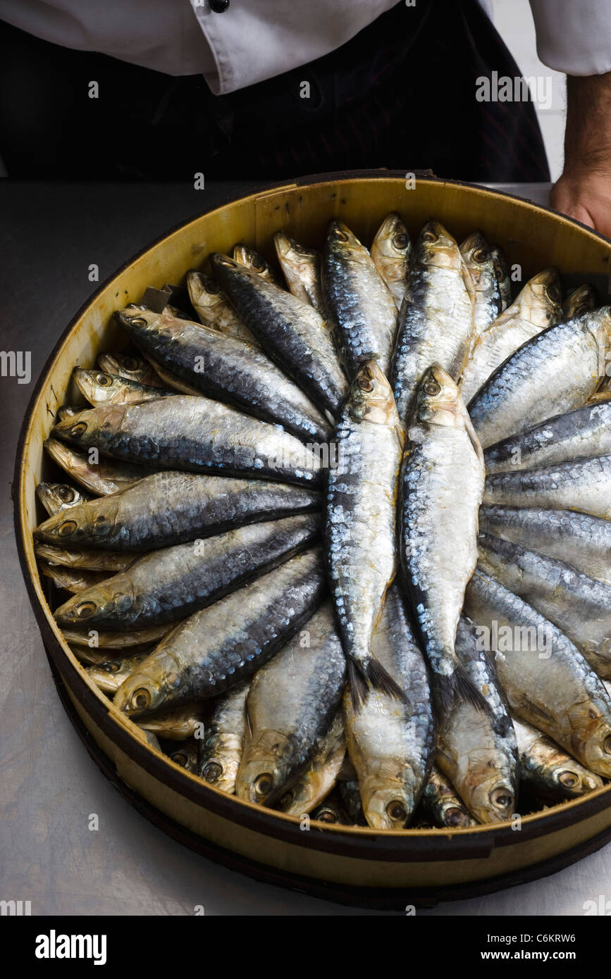 Fresh sardines arranged in hi-res stock photography and images - Alamy