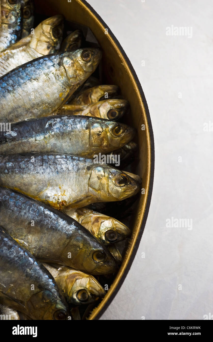 Fresh raw sardines in barrel Stock Photo - Alamy