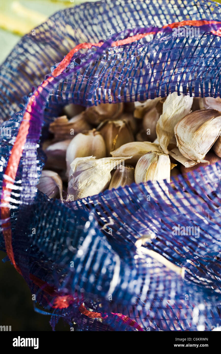 Fresh garlic in mesh bag Stock Photo - Alamy