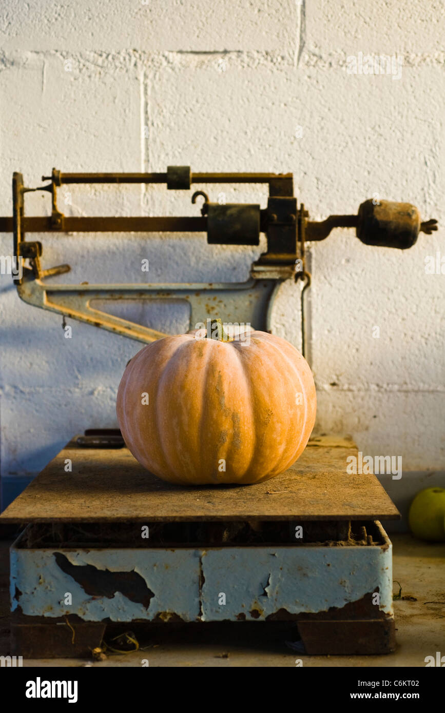 Weighing scales large hi-res stock photography and images - Alamy