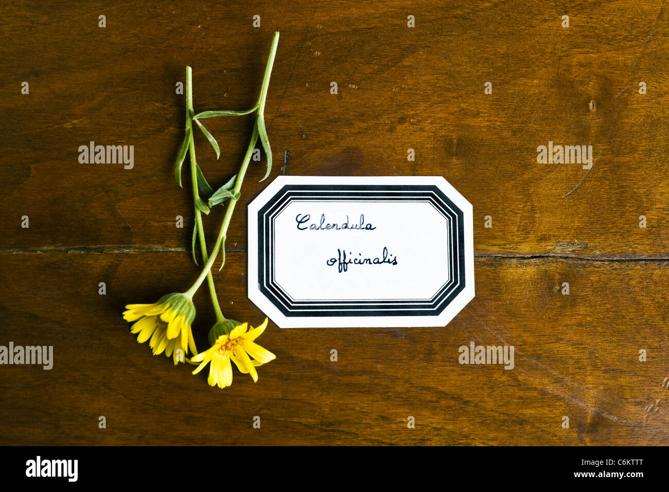 Calendula label hi-res stock photography and images - Alamy