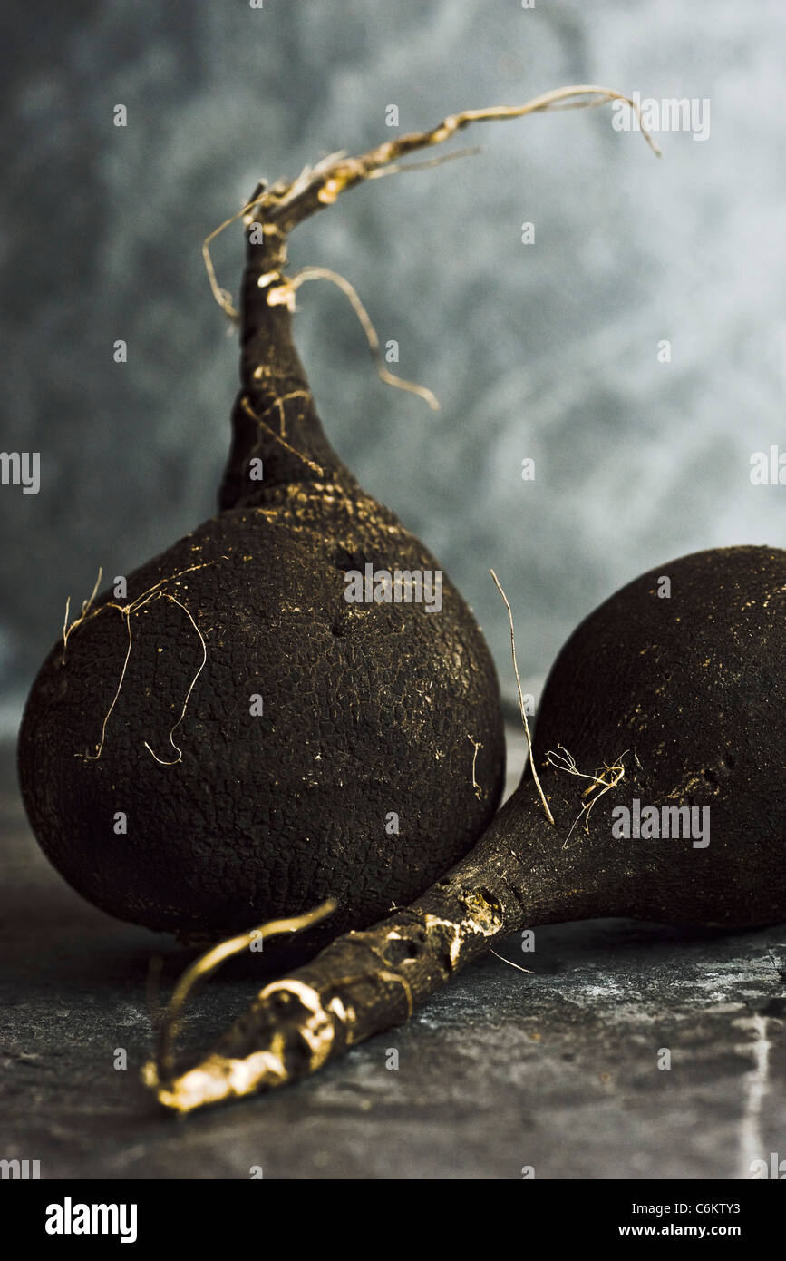 Black radish hi-res stock photography and images - Alamy