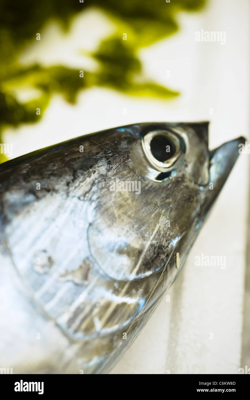Raw fresh fish Stock Photo - Alamy