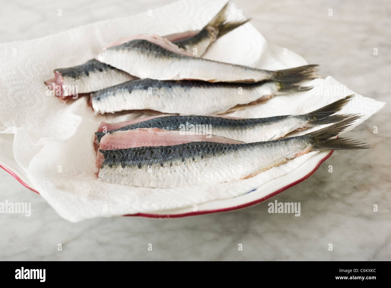 Fresh sardines cut in half Stock Photo - Alamy