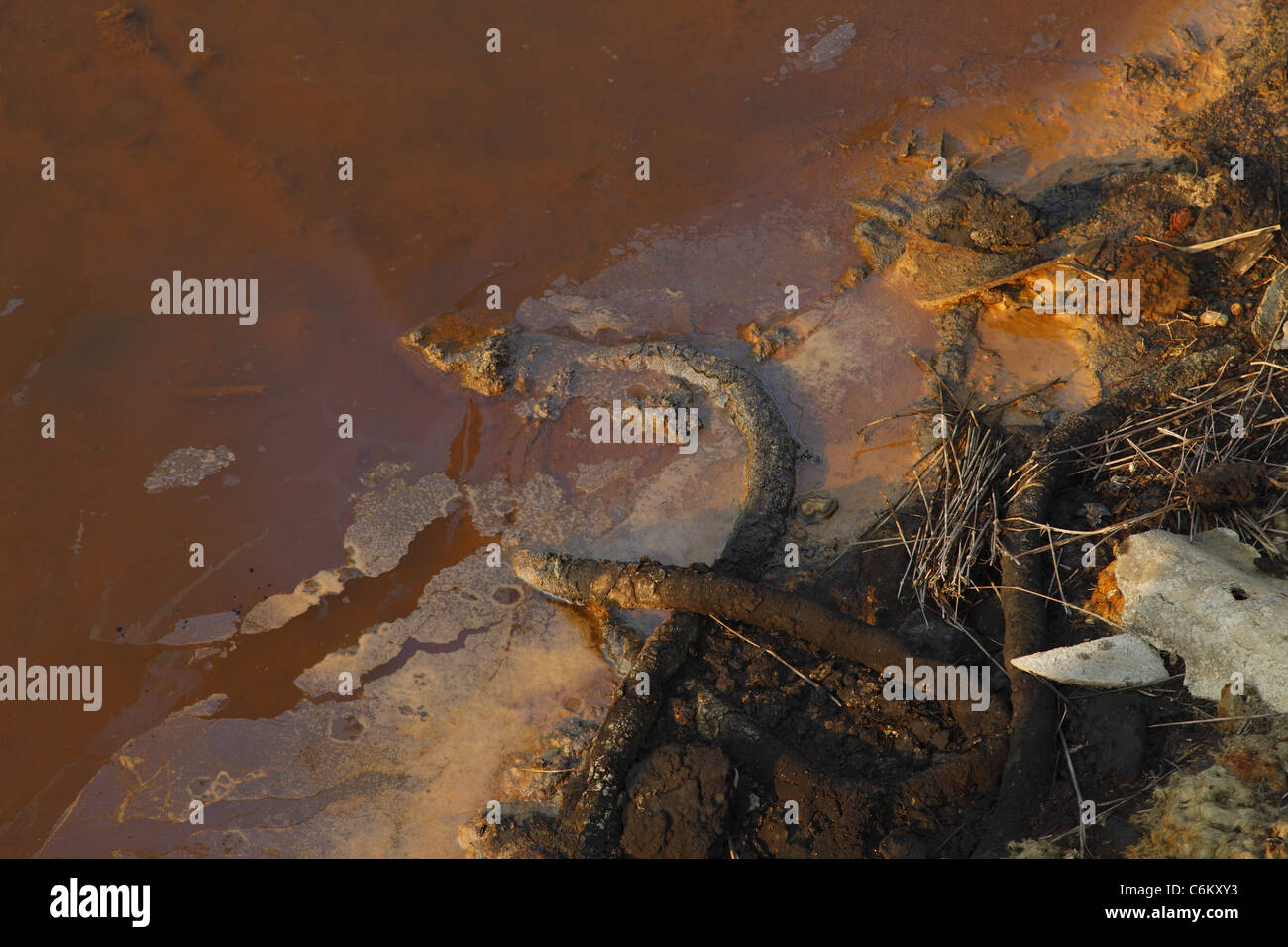 Image of the surface of a very polluted expanse of water Stock Photo ...