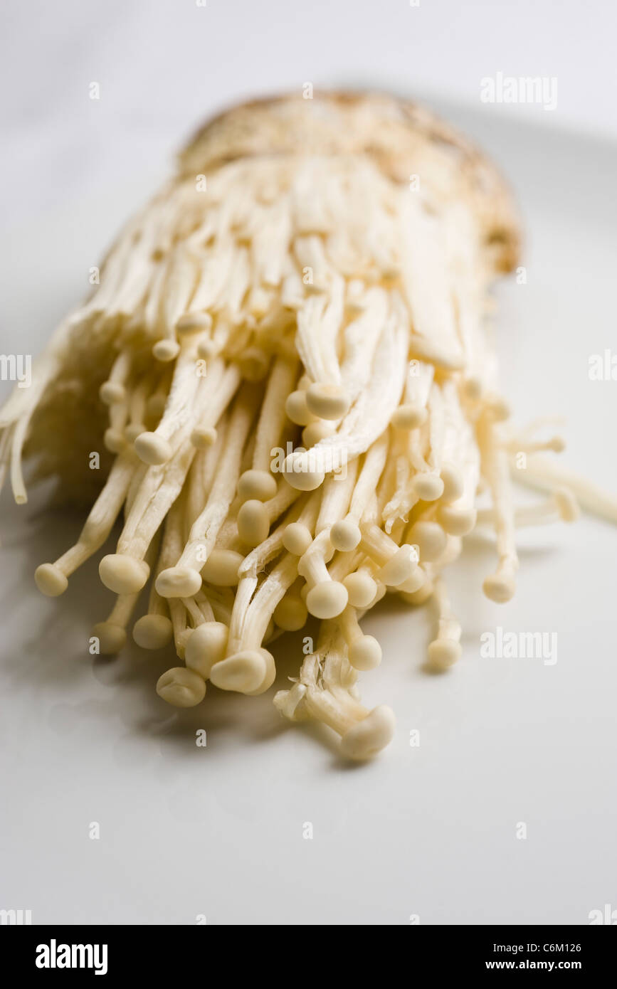 Enoki mushroom hi-res stock photography and images - Alamy