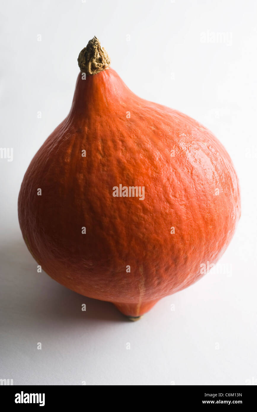 Winter squash 'Potimarron' Stock Photo - Alamy