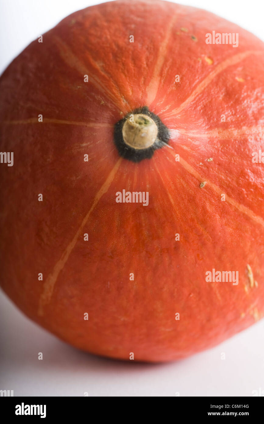 Potimarron hi-res stock photography and images - Alamy