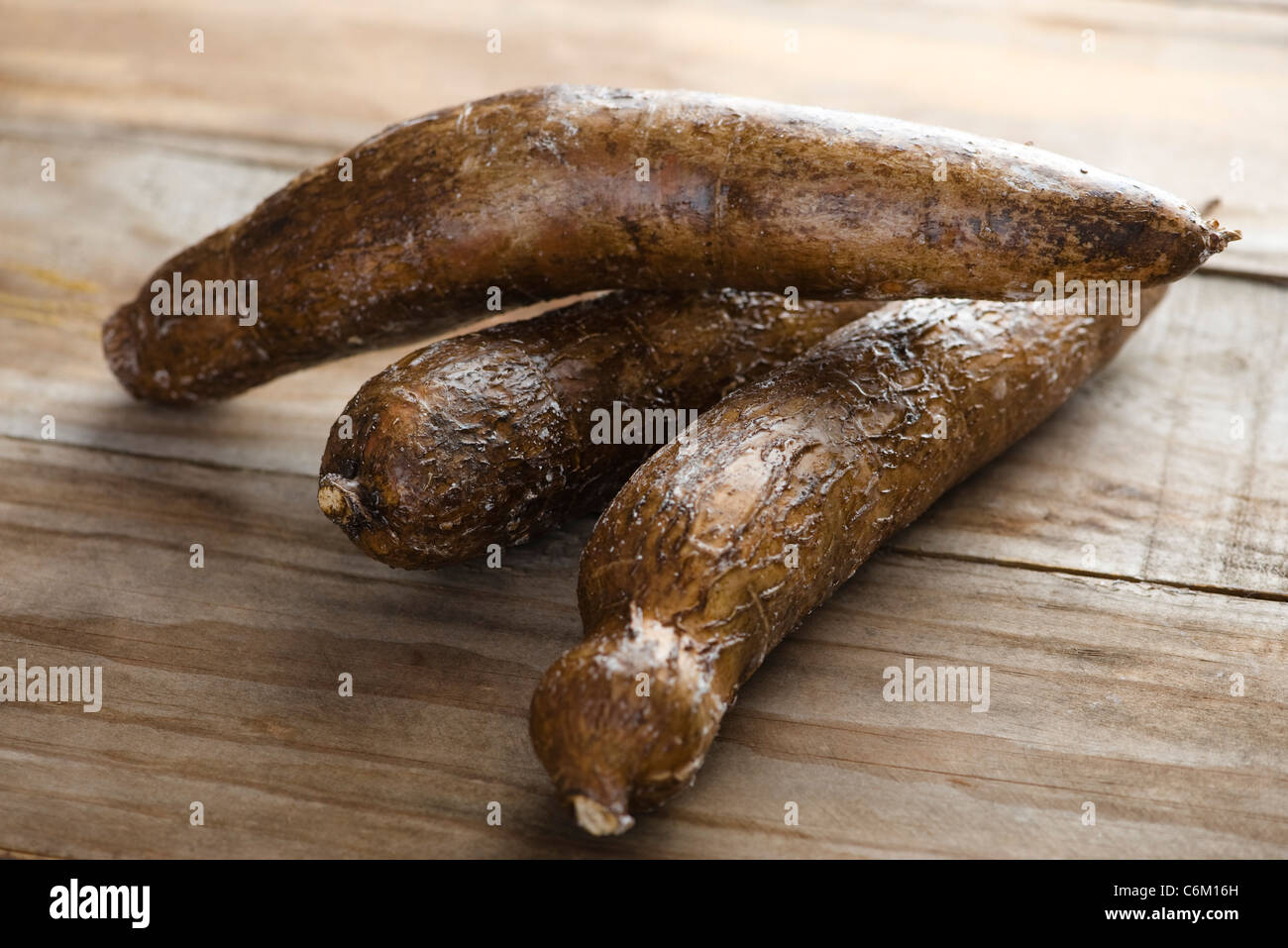 Manioc hi-res stock photography and images - Alamy