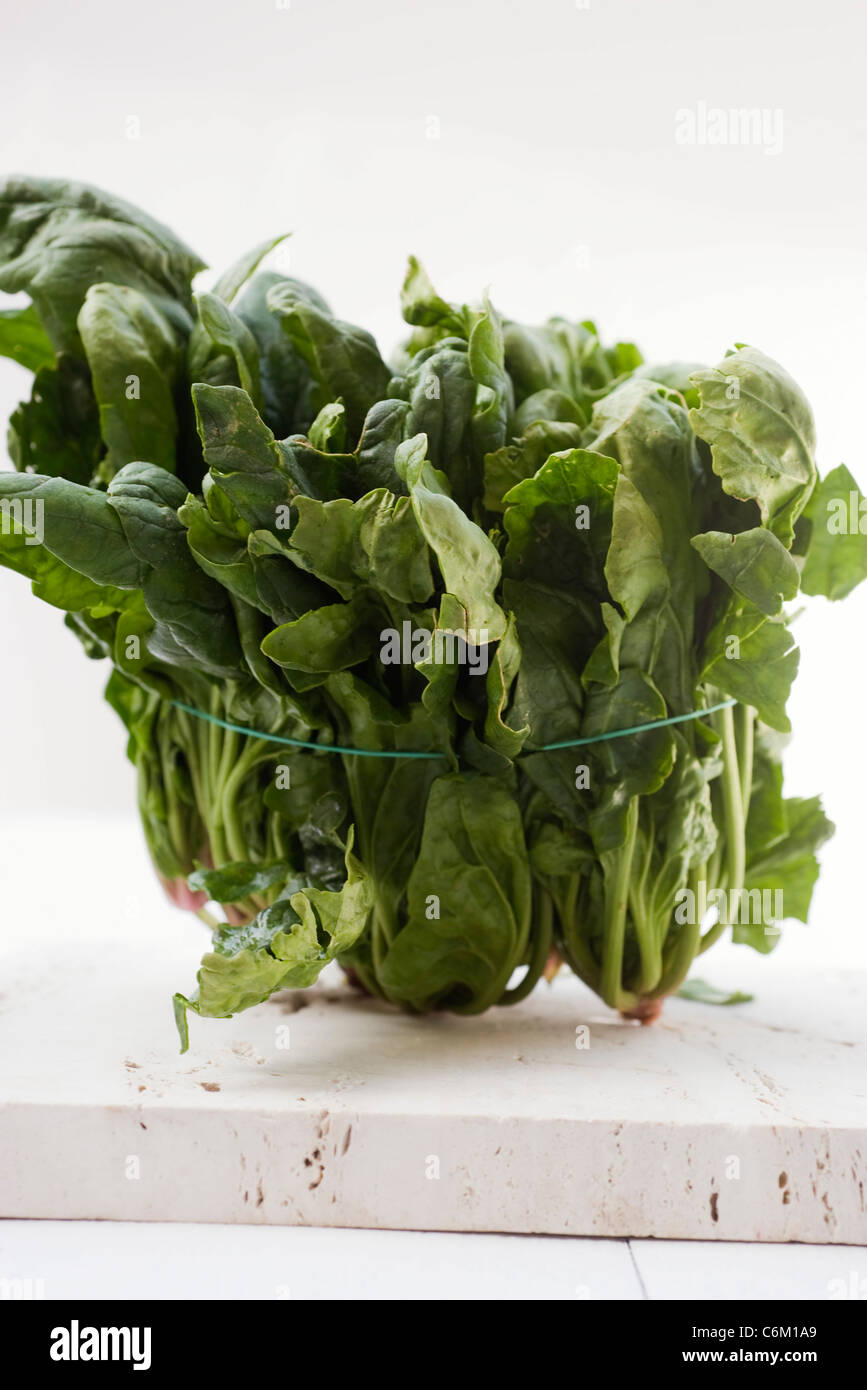 Bunch of fresh spinach Stock Photo - Alamy