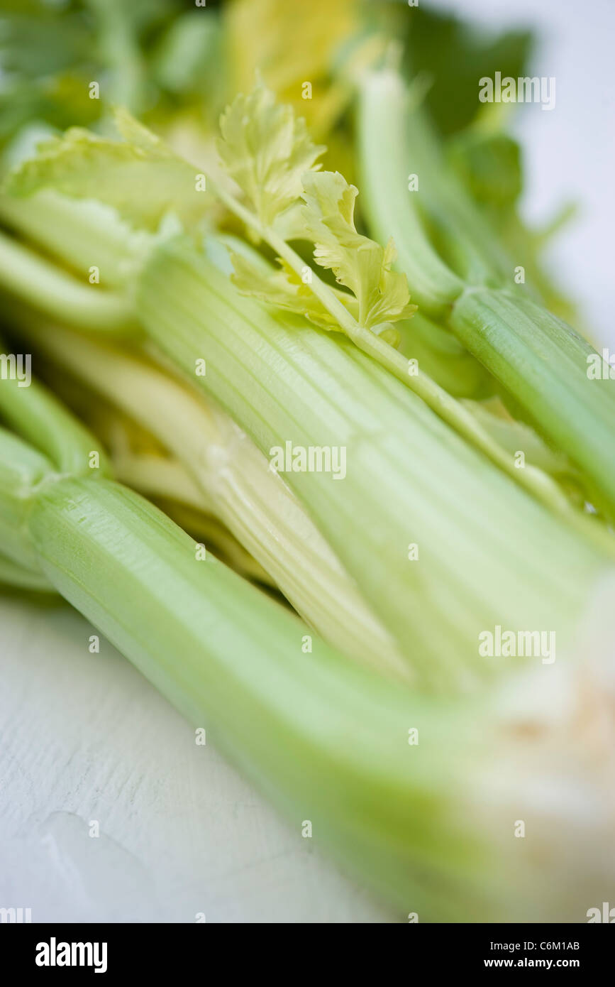 Part of celery hi-res stock photography and images - Alamy