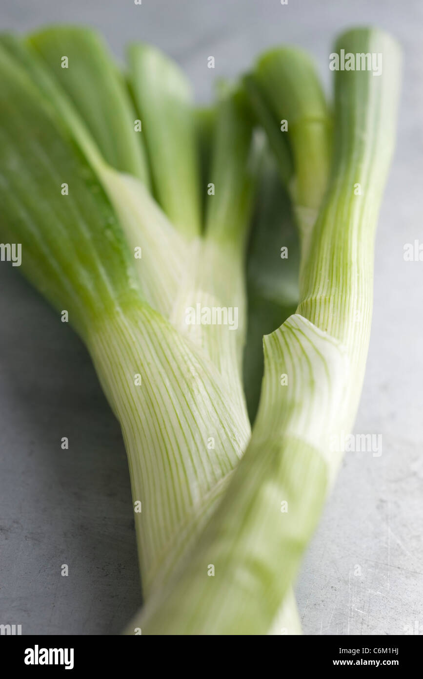 Spring onion stalk, close-up Stock Photo - Alamy