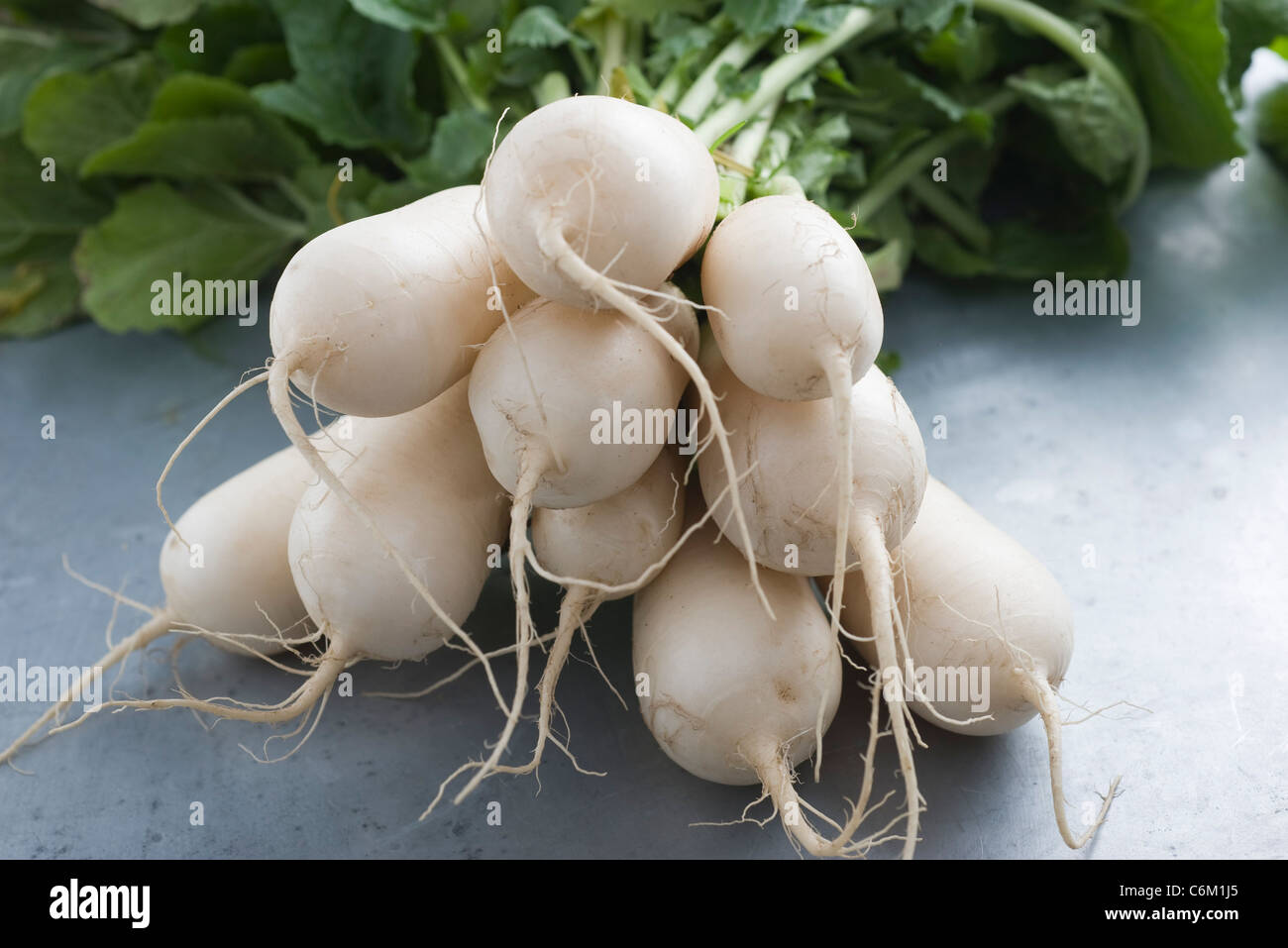 Turnip hi-res stock photography and images - Alamy
