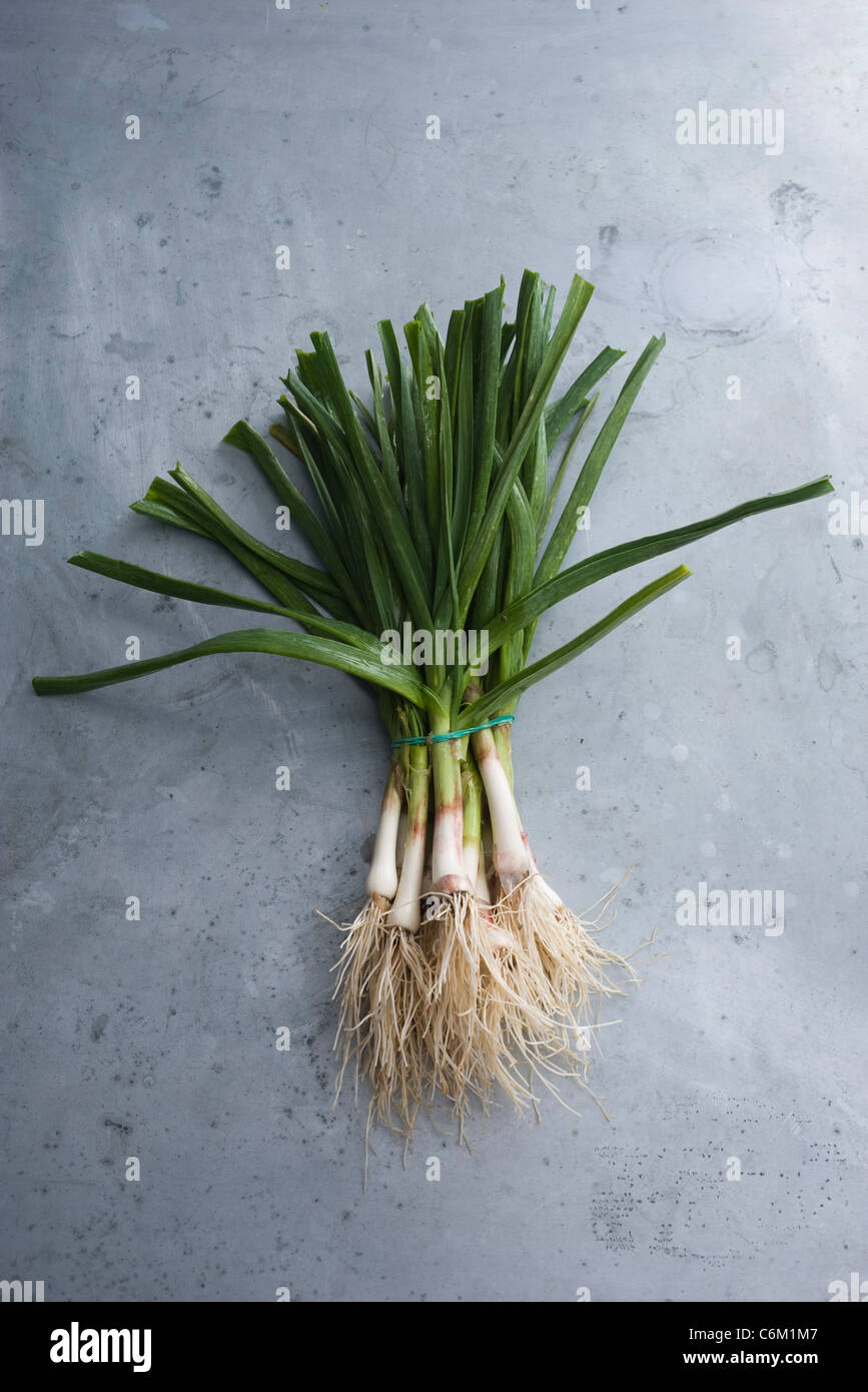 Bunch of leeks studio hi-res stock photography and images - Alamy