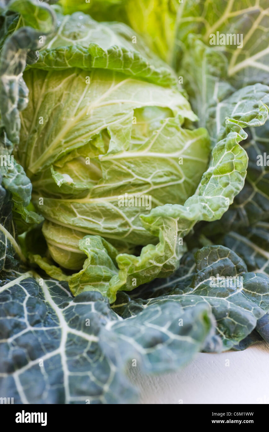 Fresh cabbage, close-up Stock Photo - Alamy
