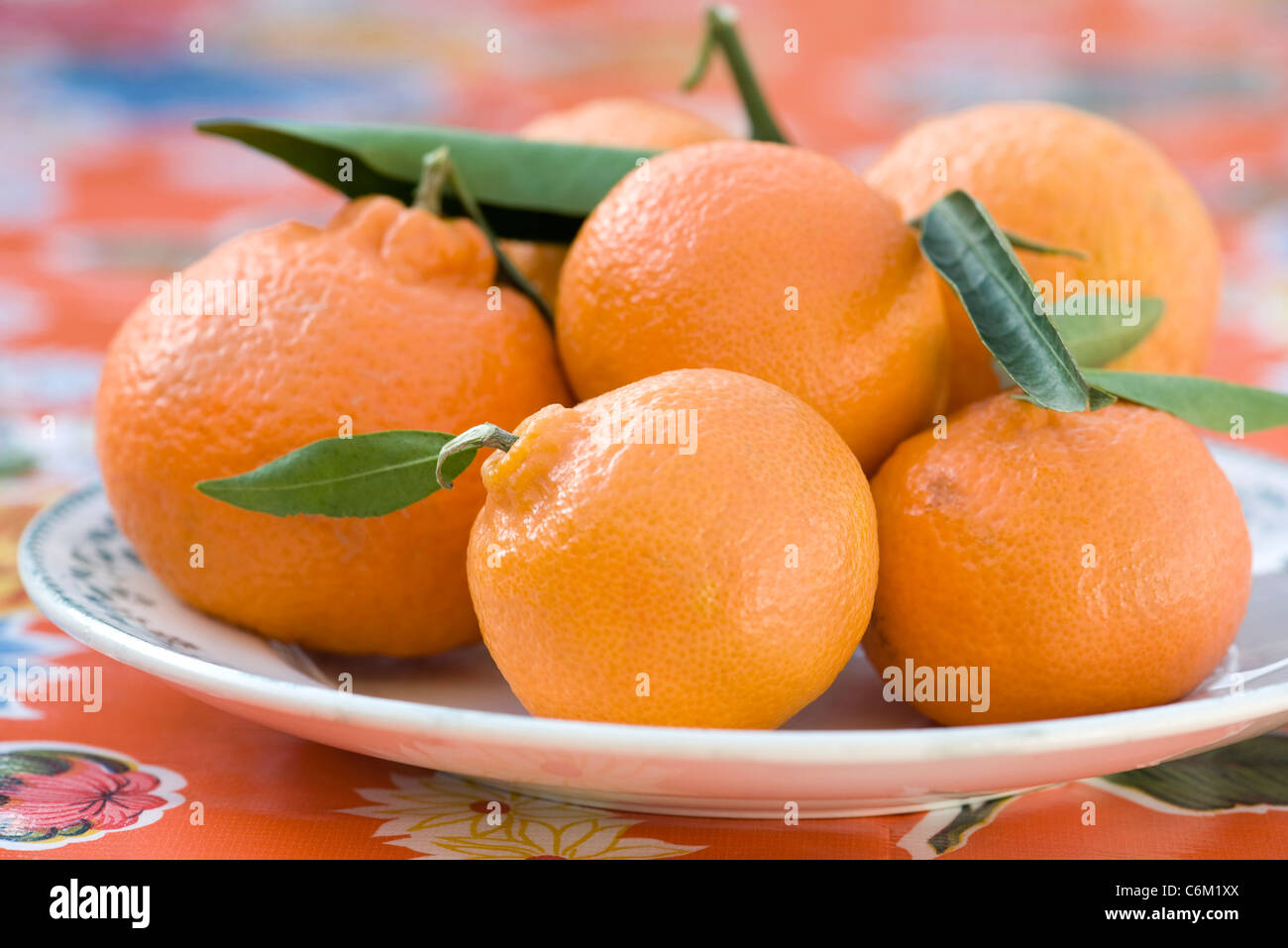 Fresh oranges on plate, close-up Stock Photo - Alamy