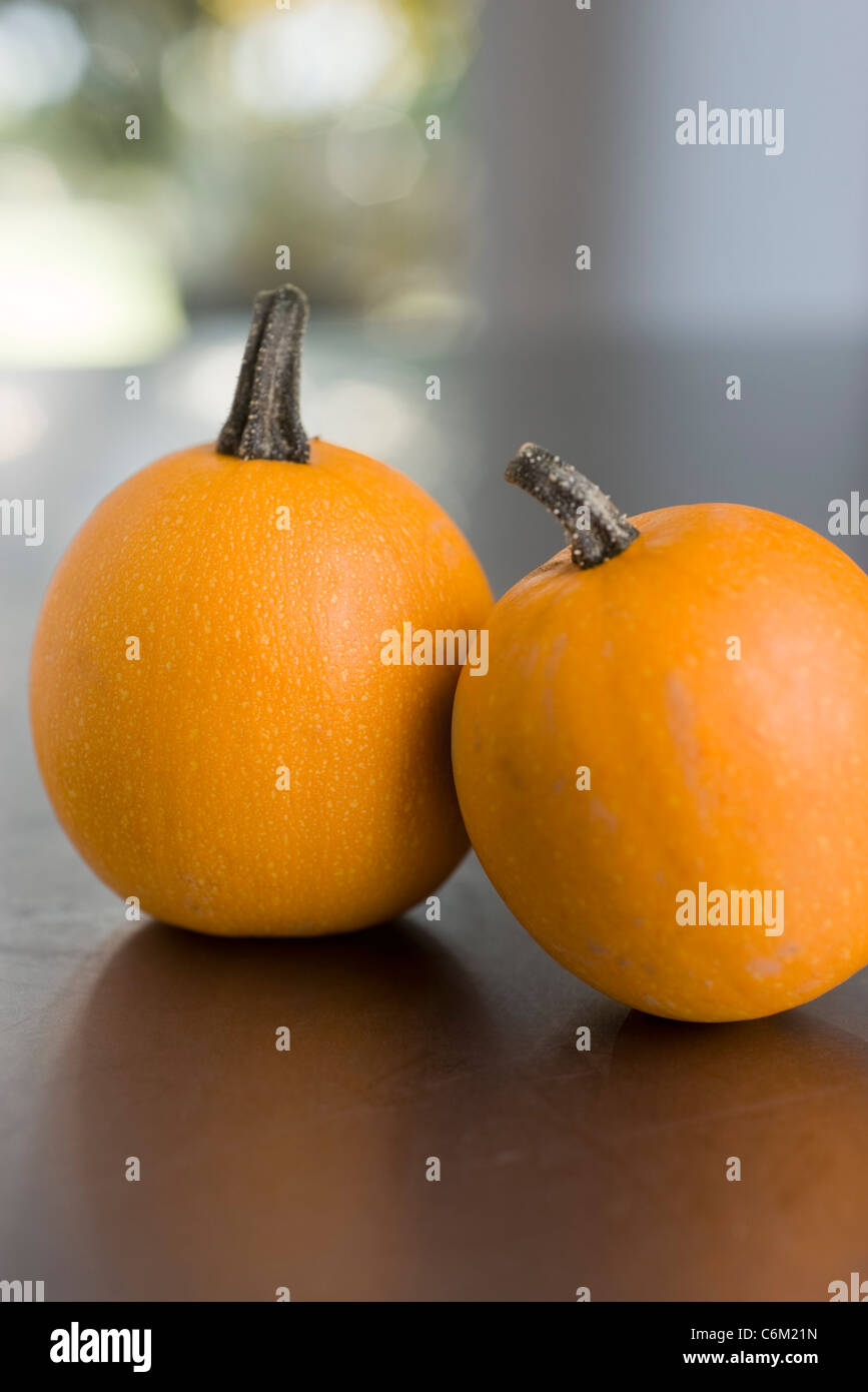 Squash cucurbita maxima cucurbitaceae hi-res stock photography and ...