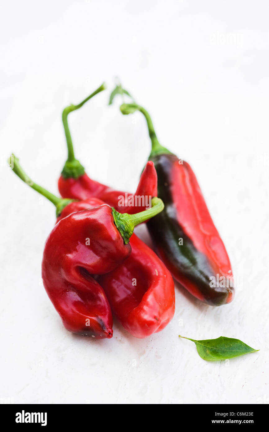 Red chili peppers Stock Photo - Alamy