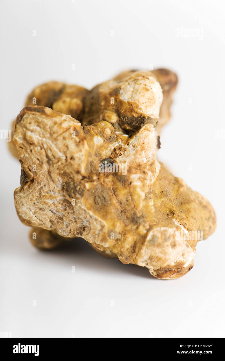 White truffle foods hi-res stock photography and images - Alamy