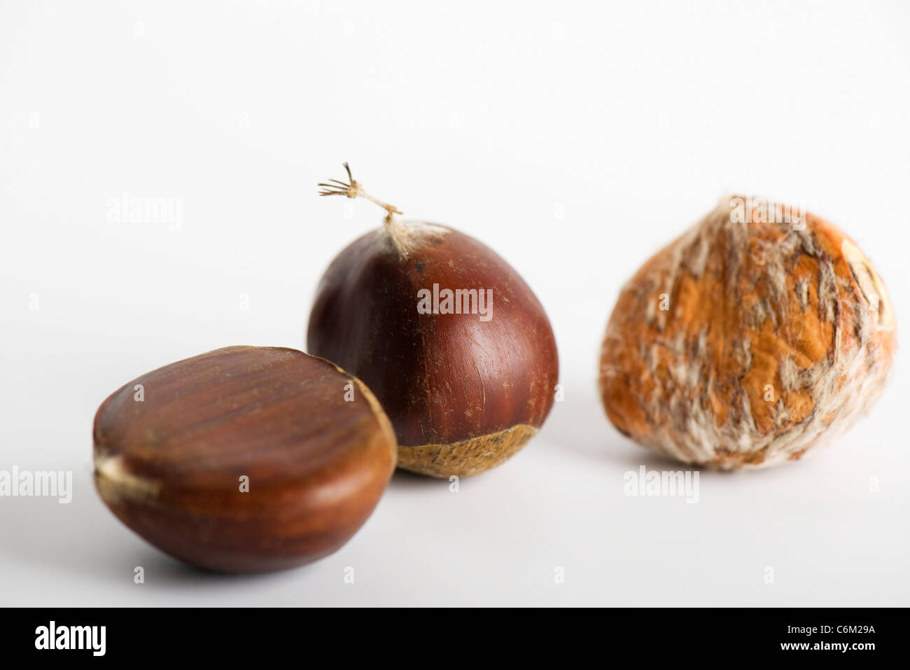 Shelled chestnut hi-res stock photography and images - Alamy