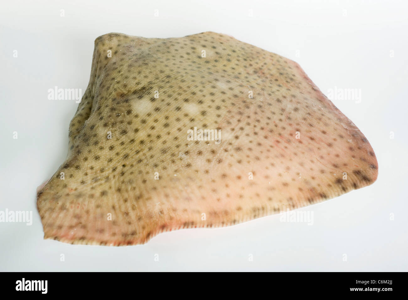 Fresh skate wing Stock Photo - Alamy