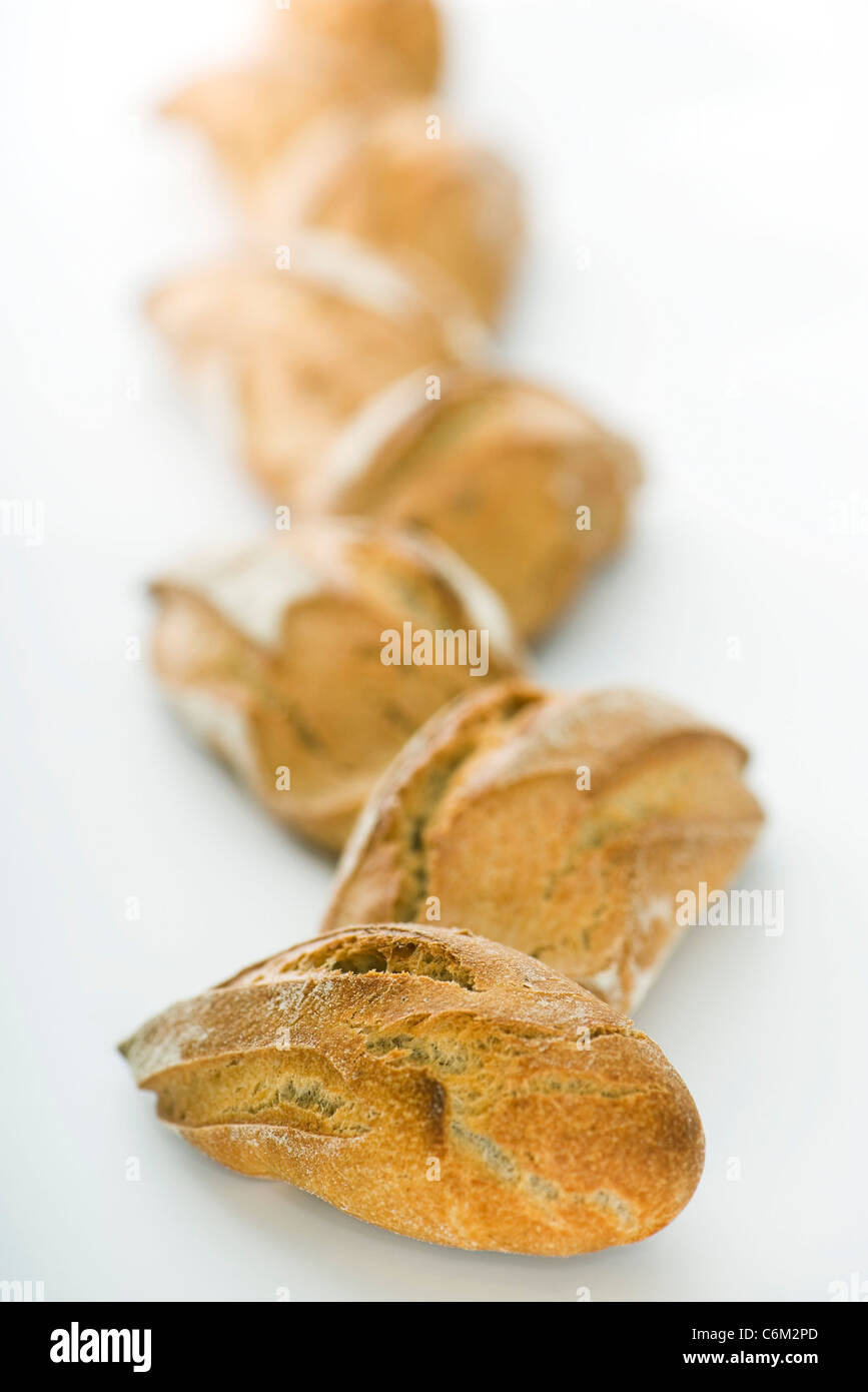Fresh loaves of bread lined up Stock Photo - Alamy