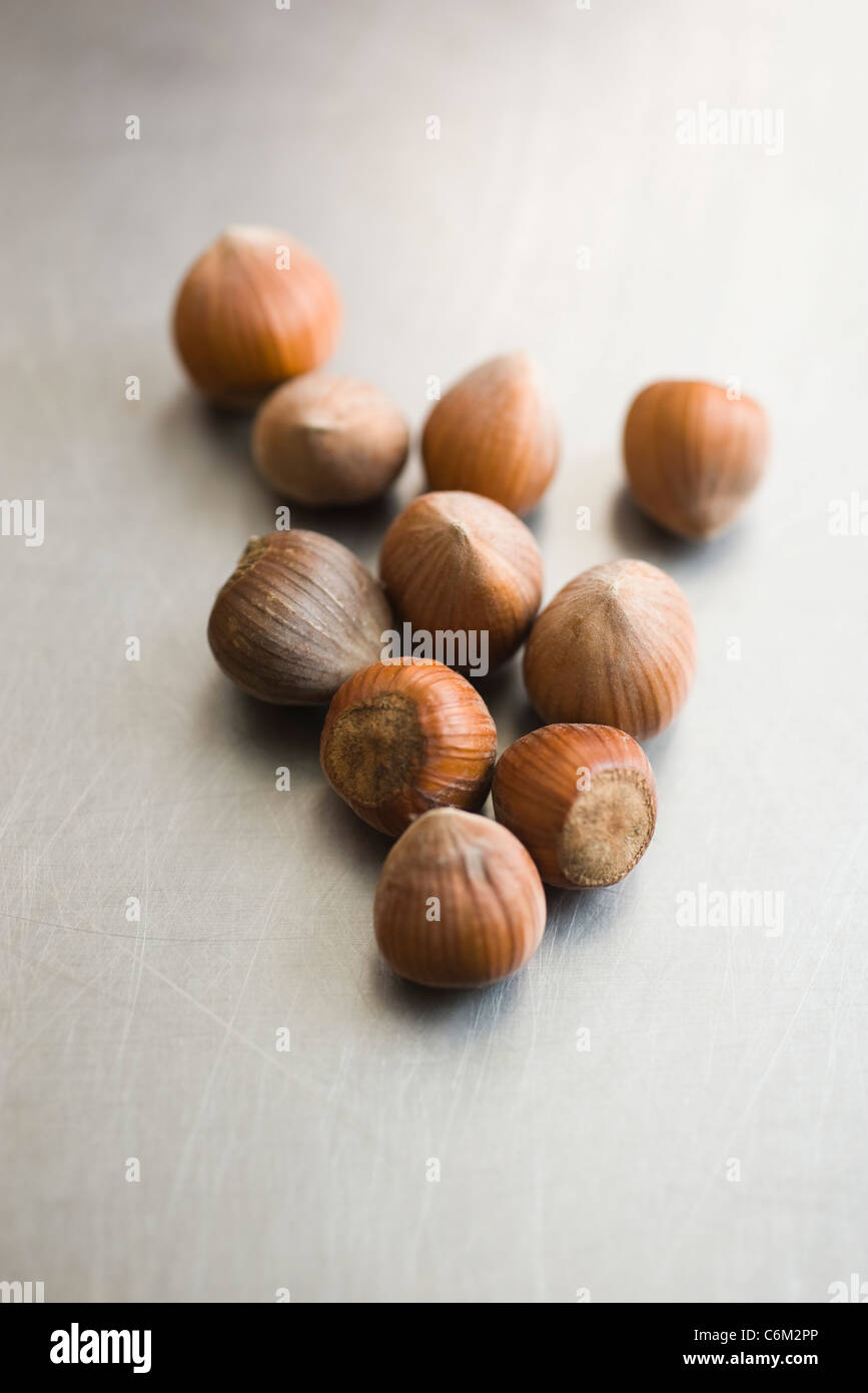 Hazel plain hi-res stock photography and images - Alamy